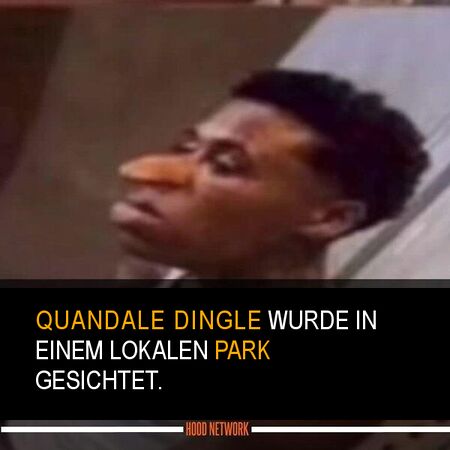 Quandale Dingle – Meming Wiki